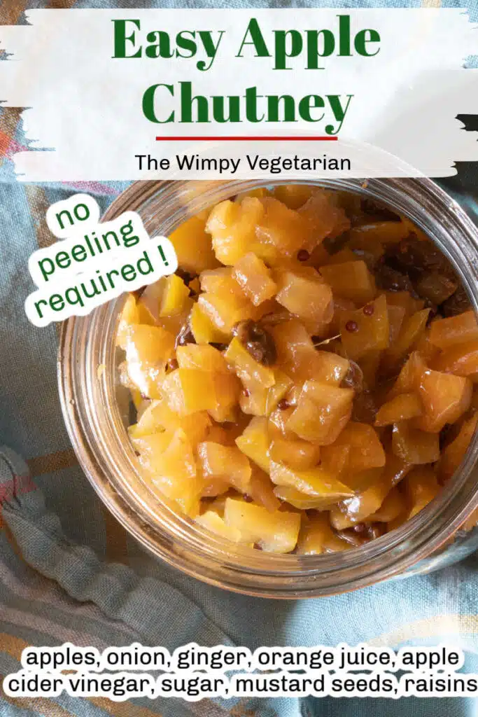 Easy Apple Chutney Recipe (No Peeling Required!) | The Wimpy Vegetarian